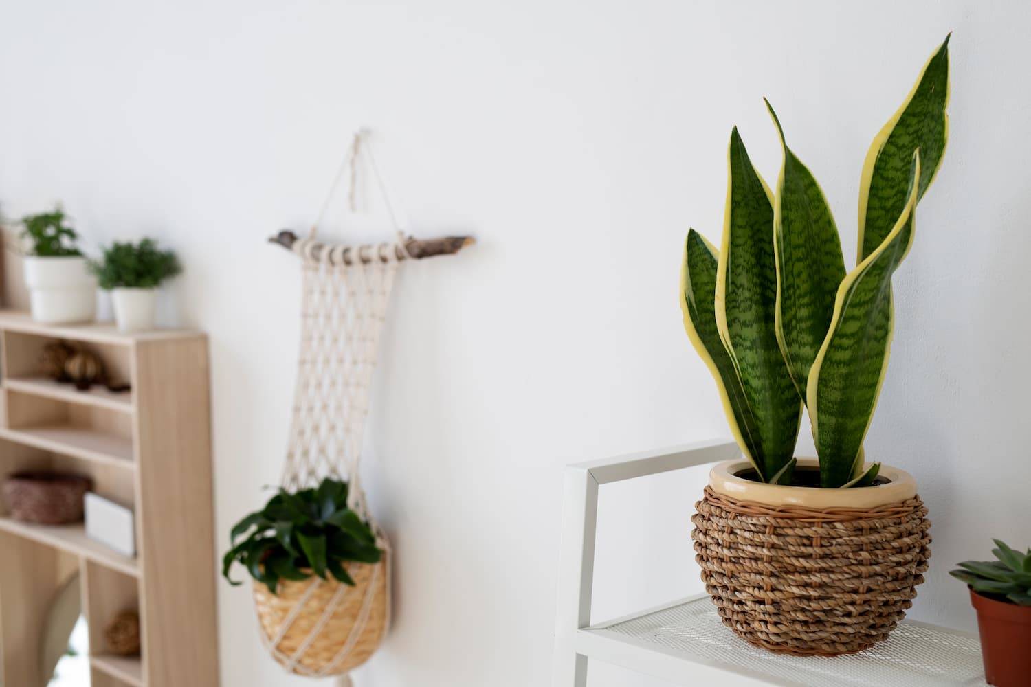 Transforma tu hogar con estas tendencias de decoración sostenible ...